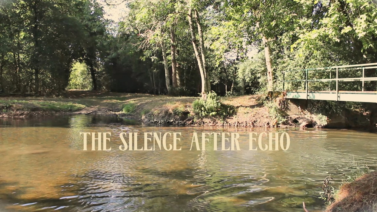 The silence after echo Movie Bappamtv